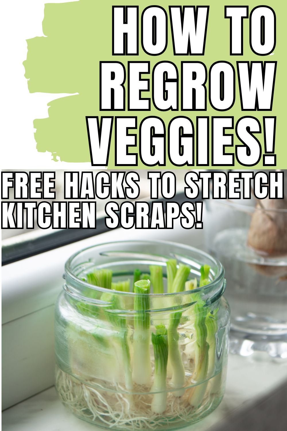 How to Regrow Vegetables from Scraps